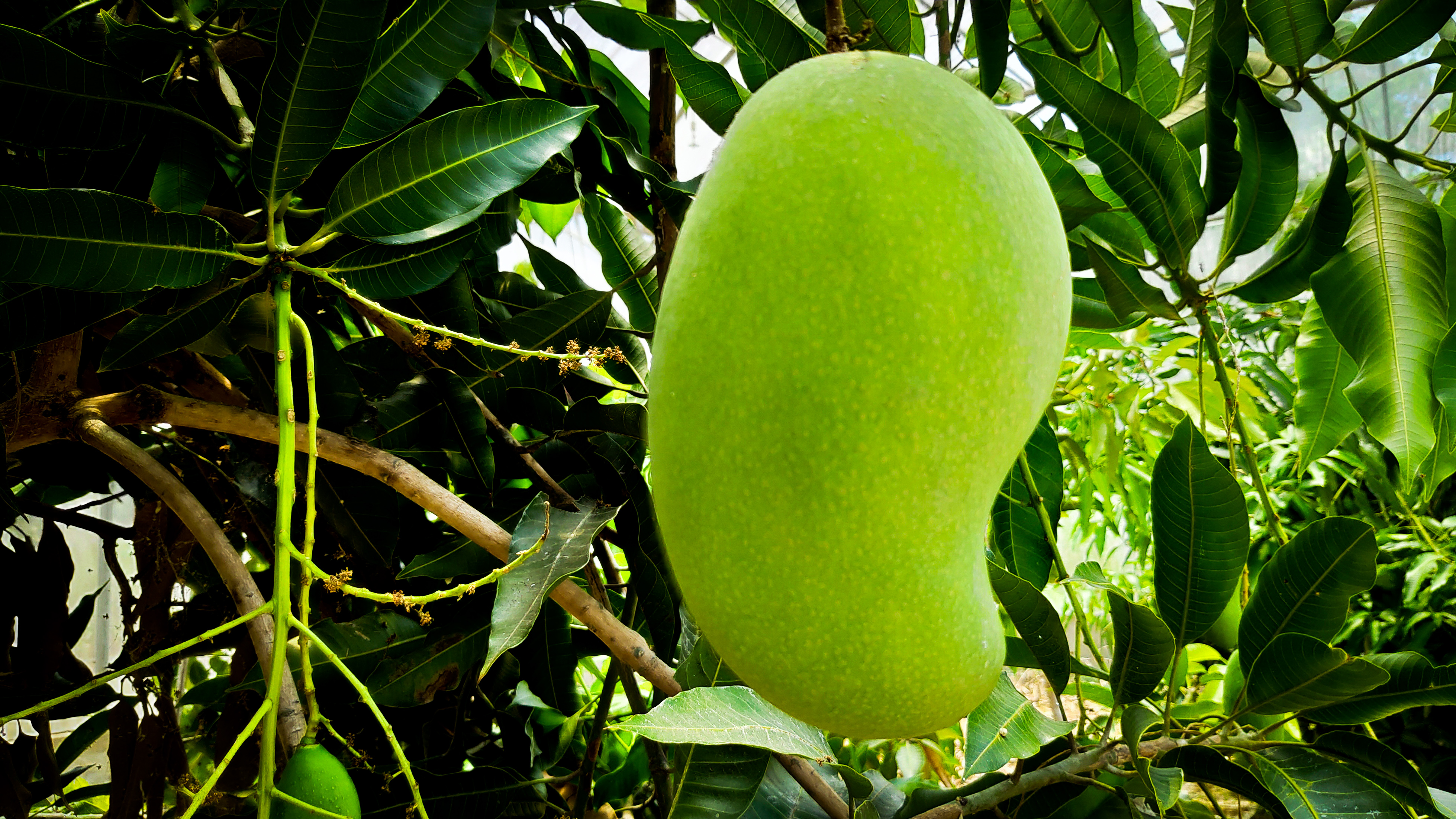 UniMAP Holdings Sdn. Bhd.